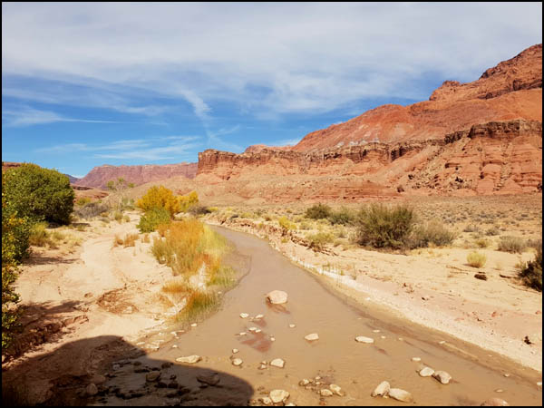 Lees Ferry - Paria River